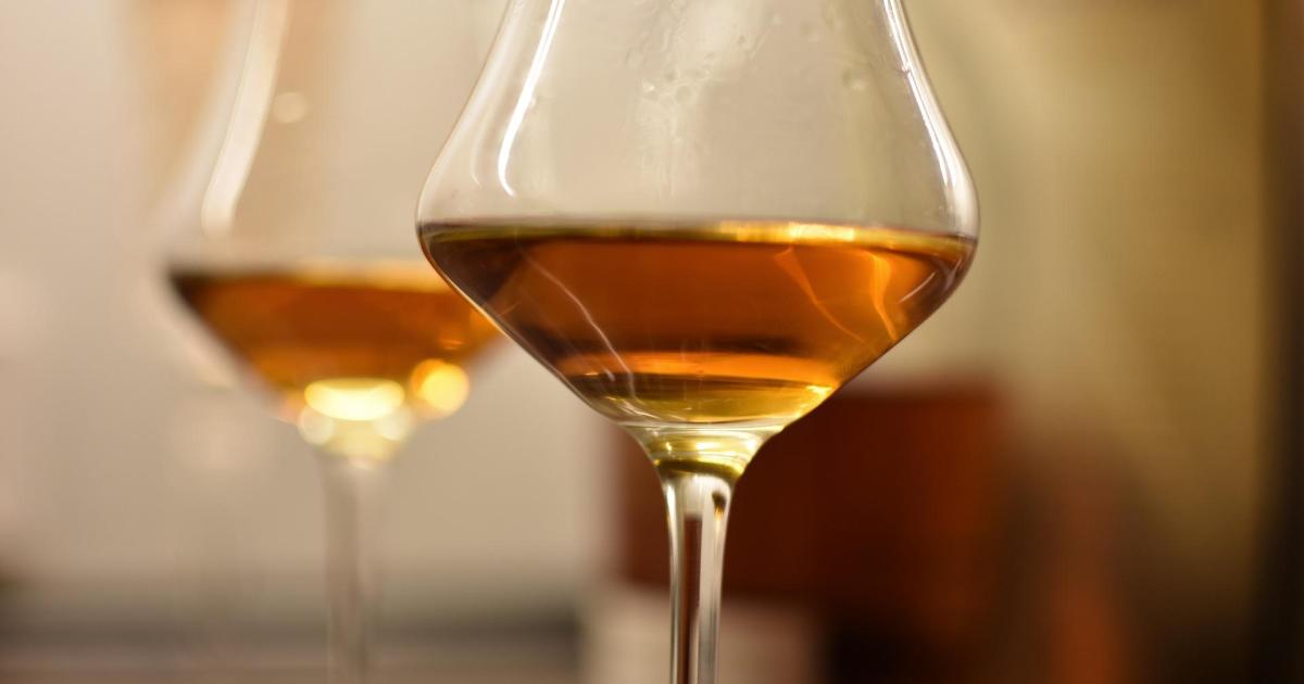 Panodyssey - Cognac, armagnac : quelles différences? - Arthur Oliveira