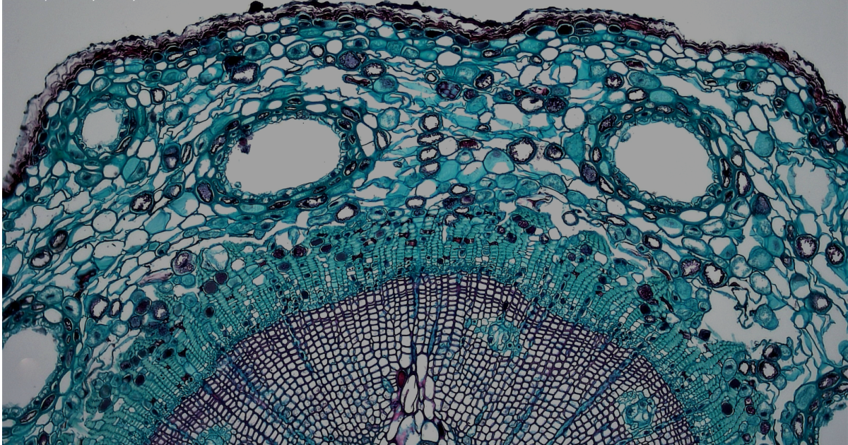 Panodyssey - Notre secret - Marion Marlinge