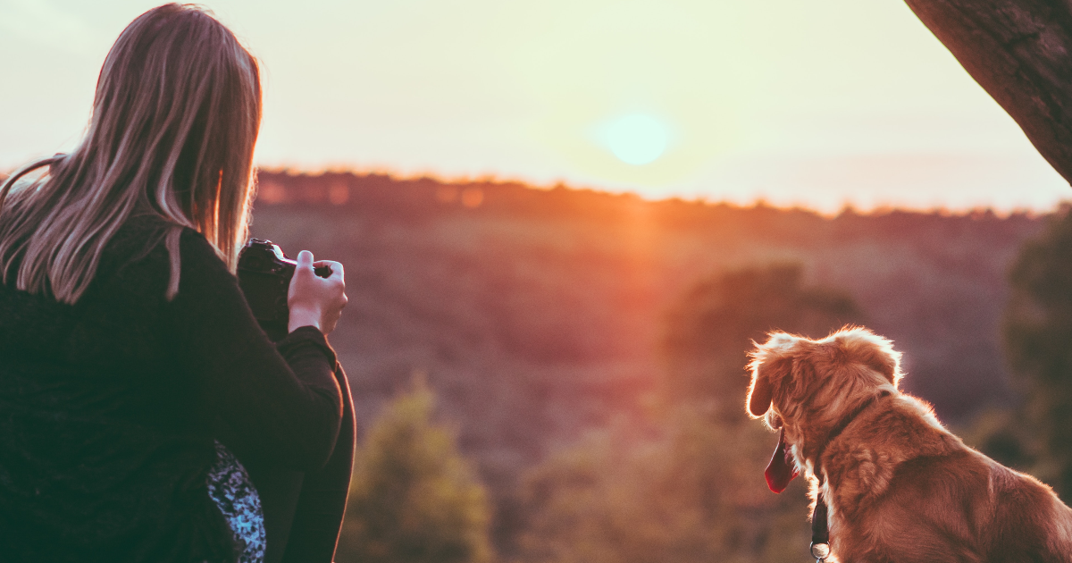Panodyssey - Ça va aller D'Alice Colin - Elodie Furtak