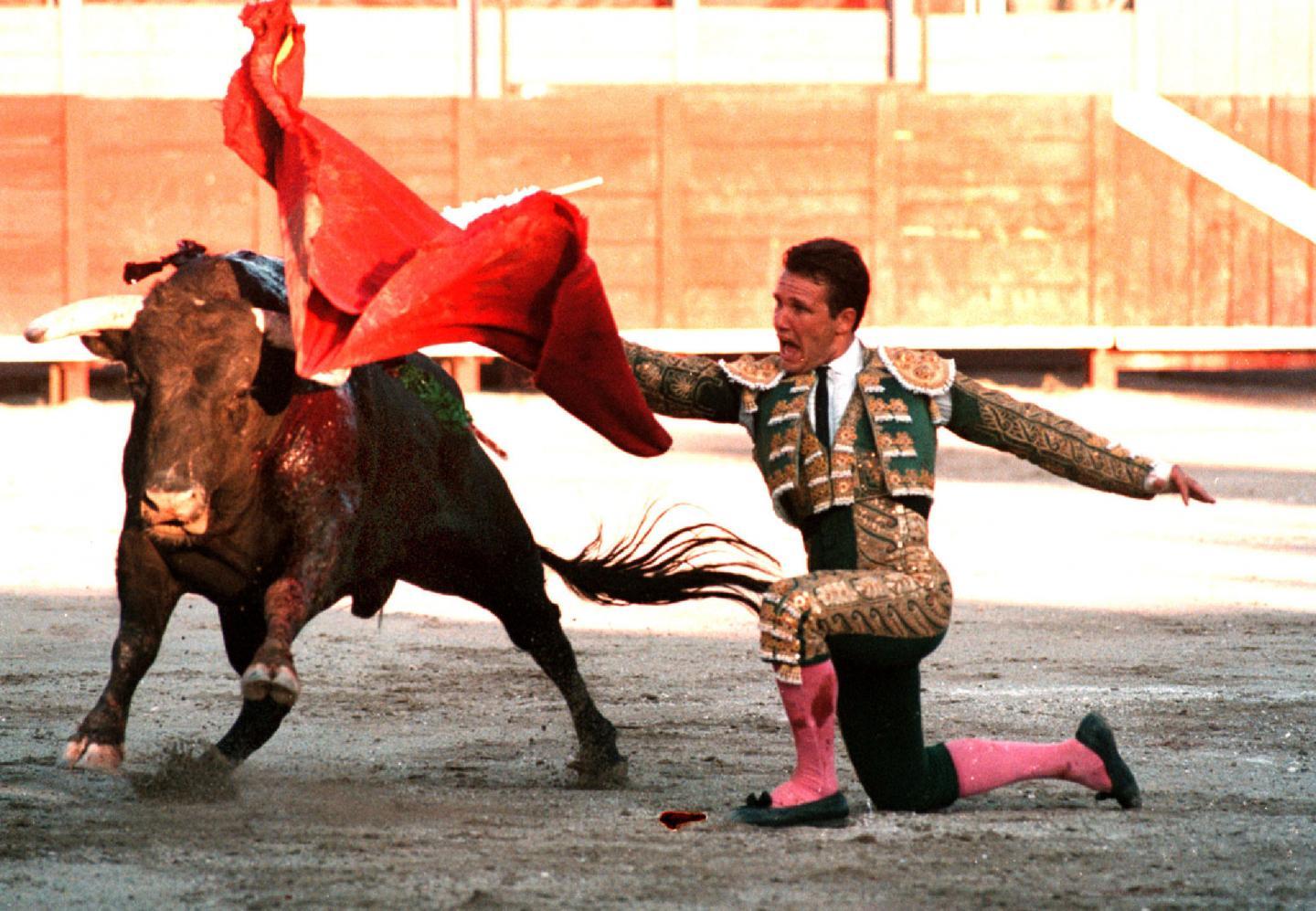 Sur la "maltraitance" animale, l'heure devient grave